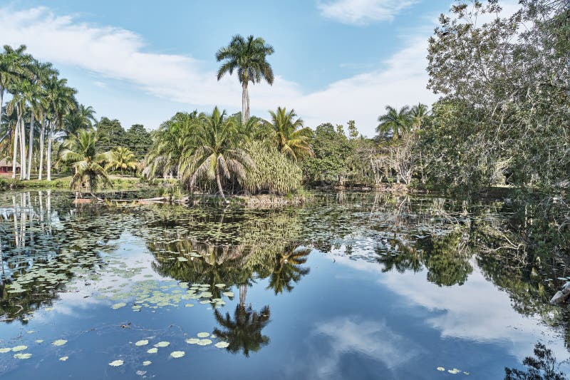 Tropical Landscape with Pond, Small Island, Palm Trees and Beautiful ... Tropical Landscape with Pond, Small Island, Palm Trees and Beautiful ...