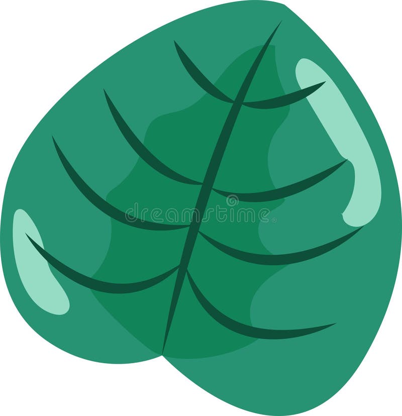 Tropical Leaf Flat Vector Illustration. Leaf Plant Isolated. Stock ...