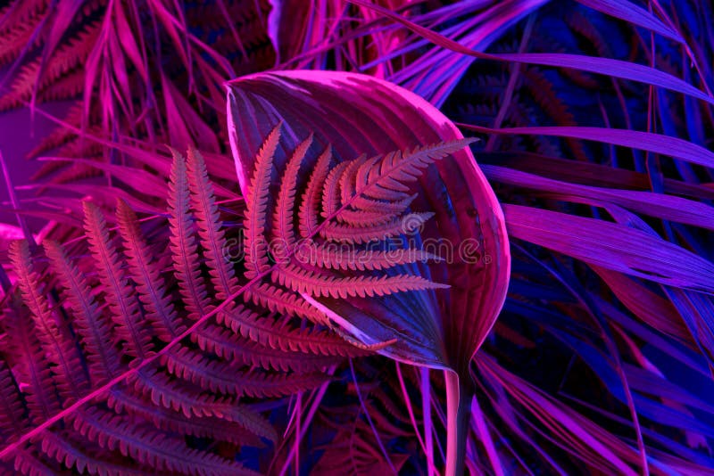 Tropical Leaf Forest Glow in the Black Light Background. High Contrast ...