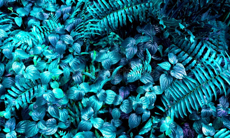 Tropical glowing leaves. stock image. Image of color - 118072017