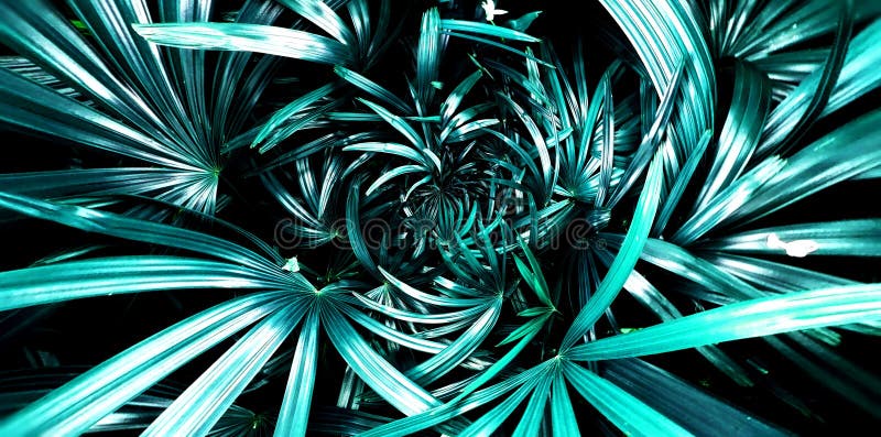 Tropical glowing leaves stock image. Image of dark, haunt - 141057579