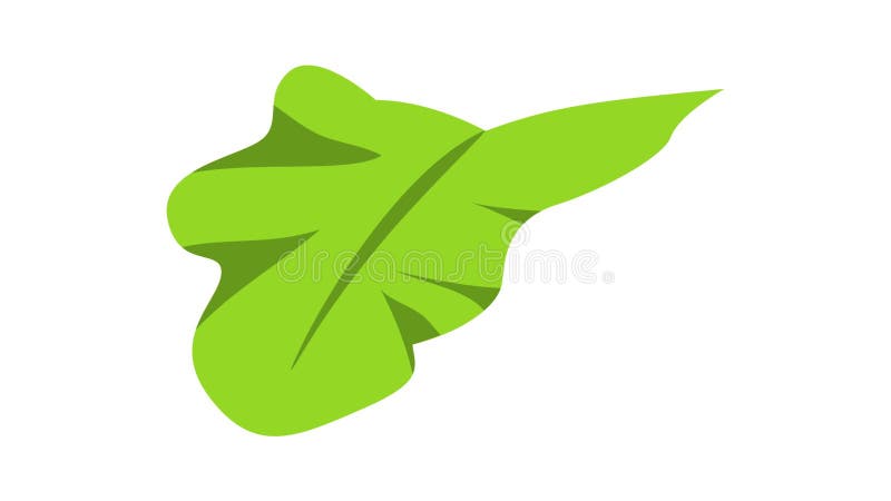 Jungle leaf icon animation stock footage. Video of jungle - 216404624