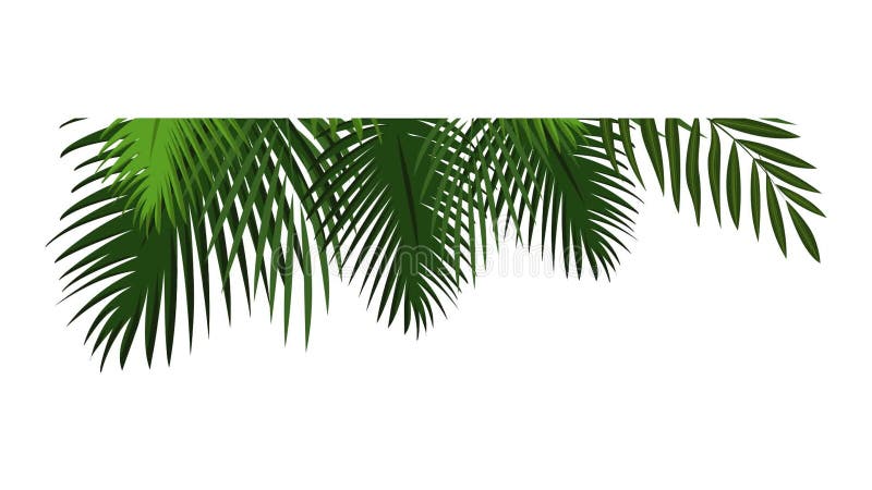 Jungle leaf icon animation stock footage. Video of jungle - 216404624