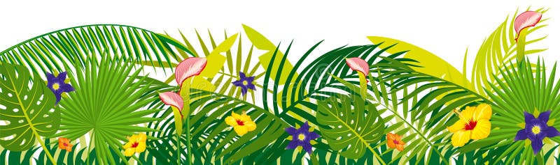 Tropical Leafs Border. Horizontal Green Plants Decoration Stock Vector ...