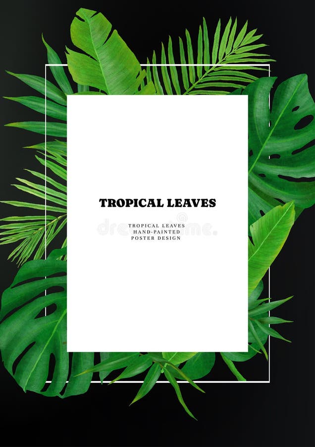 Tropical Leaves Botanical Luxury Frame Vertical Poster Stock Vector ...