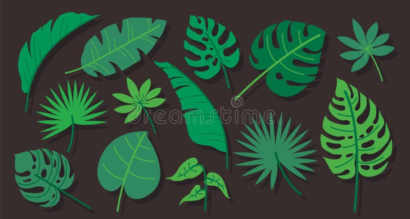 Tropical Leaves Elements Vector Illustration Stock Vector ...