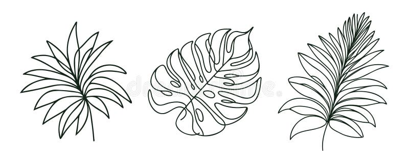 Tropical Leaves in One Line Drawing Style, Black and White Tropical ...