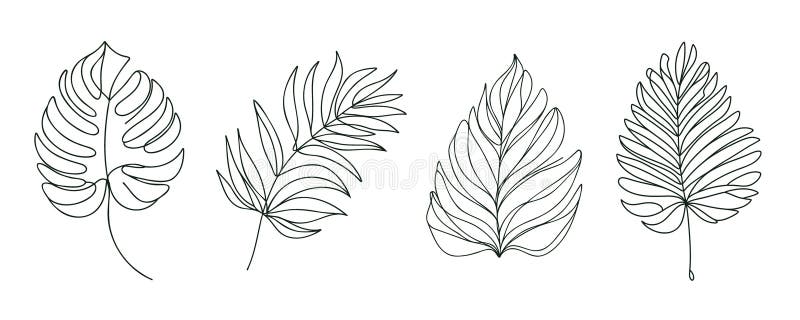 Tropical Leaves in One Line Drawing Style, Black and White Tropical ...