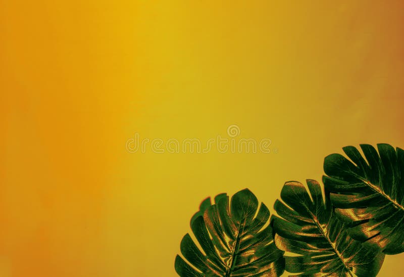 Tropical Leaves of Palm Tree on Gradient of Orange Background Stock ...