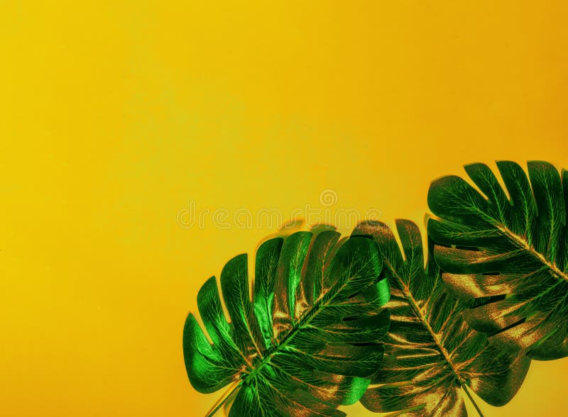 Tropical Leaves of Palm Tree on Gradient of Orange Background Stock ...