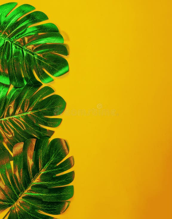 Tropical Leaves of Palm Tree on Gradient of Orange Background Stock ...