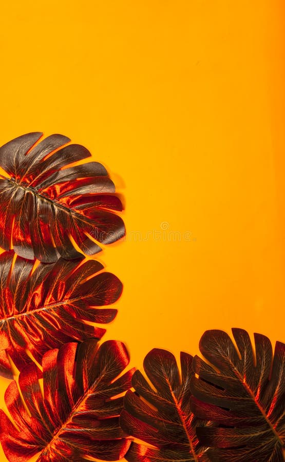 Tropical Leaves of Palm Tree on Ultraviolet Fluorescent Background ...