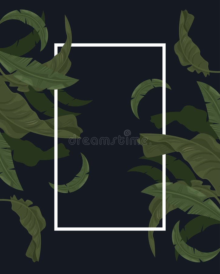 Tropical Leaves in Rectangular Frame Stock Vector - Illustration of ...