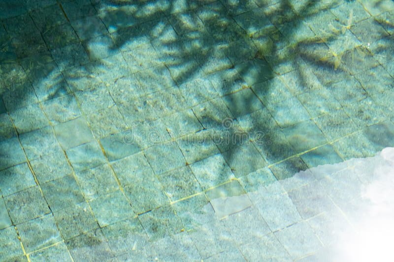 Tropical Leaves Shadow on the Surface of Swimming Pool Stock Photo ...