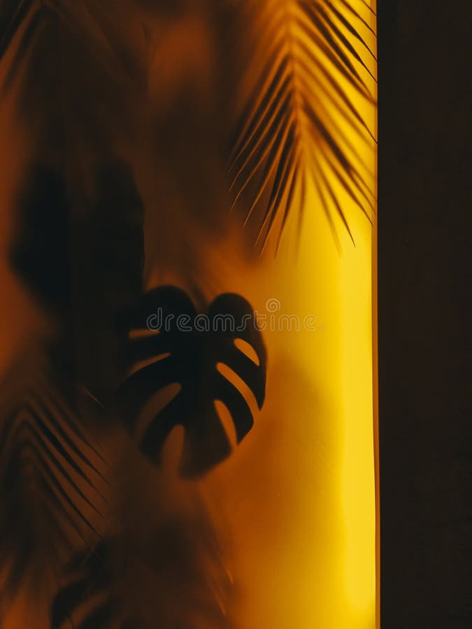 Tropical Leaves Shine through Glass, Yellow Light. Stock Image - Image ...