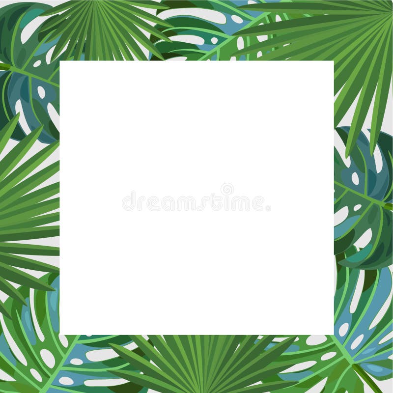 Tropical Leaves. Square Frame Stock Illustration - Illustration of palm ...