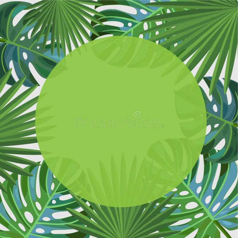 Tropical Leaves. Square Frame Stock Illustration - Illustration of leaf ...