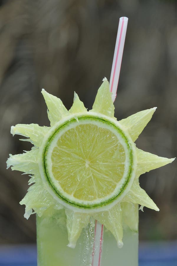 Tropical lemon sun stock photo. Image of alcoolic, glass - 12420544