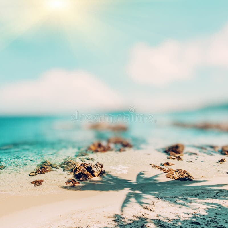 Lost beach coastline stock photo. Image of resort, beach - 277932036