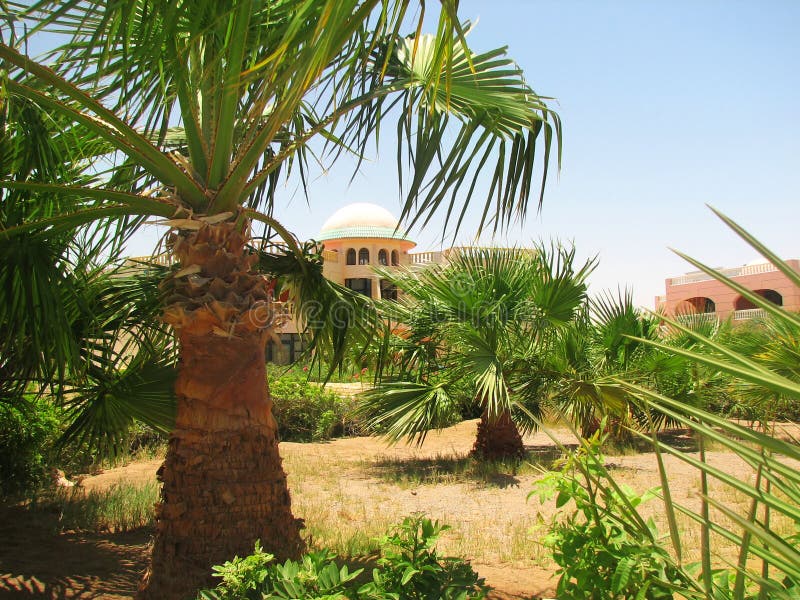 Tropical luxury hotel stock photo. Image of tourist, building - 5656298