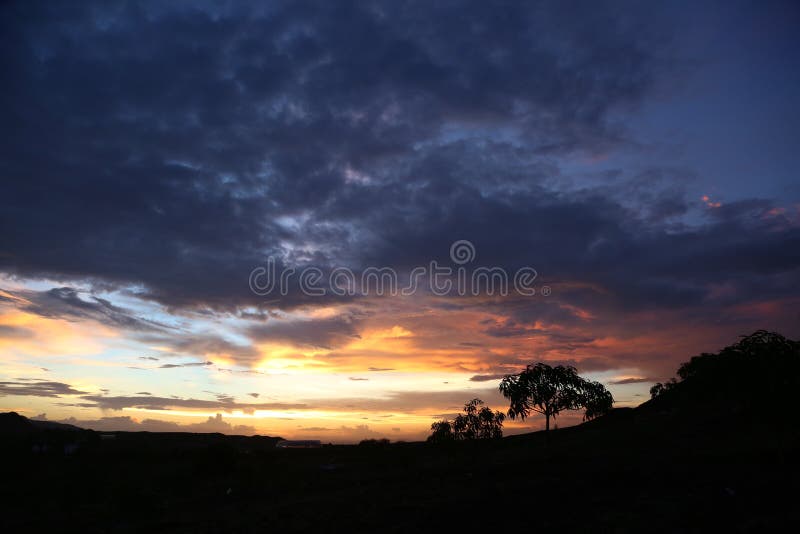 Tropical Mango Tree on Sunset Sky Nature Background Stock Image - Image ...