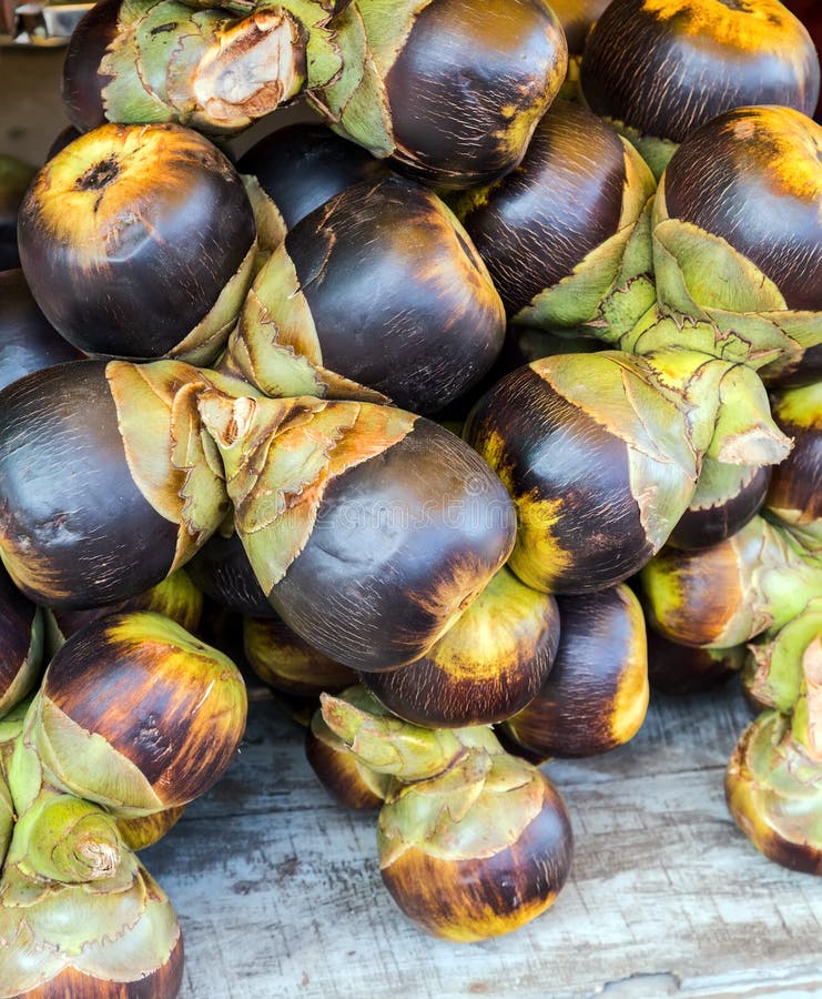 Mangustin s fruit . stock image. Image of mangustins - 76887449