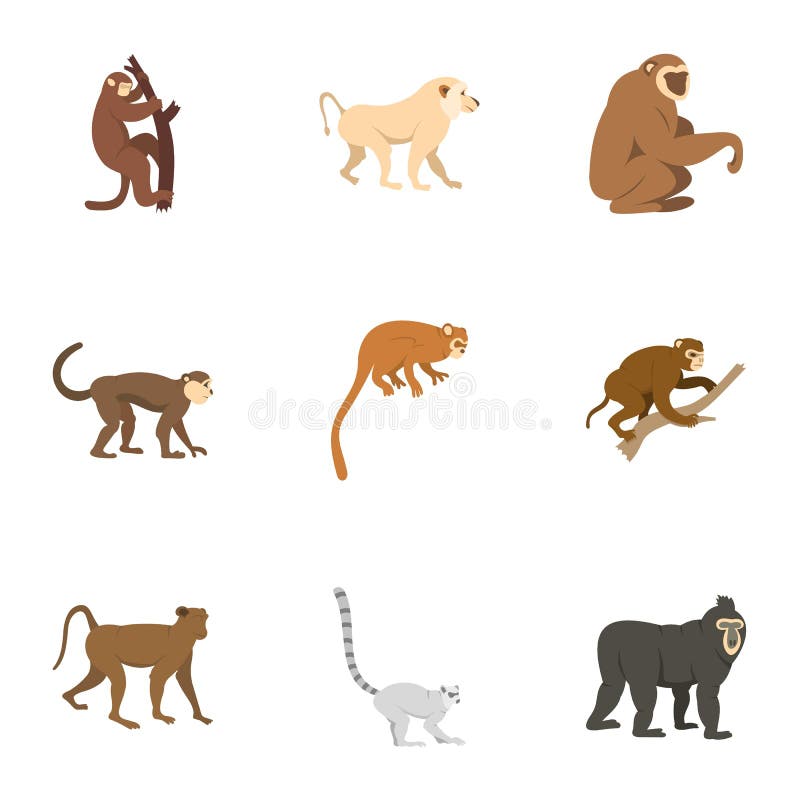Flat Vector Icon of Brown Capuchin, Side View. Small Monkey with Long ...