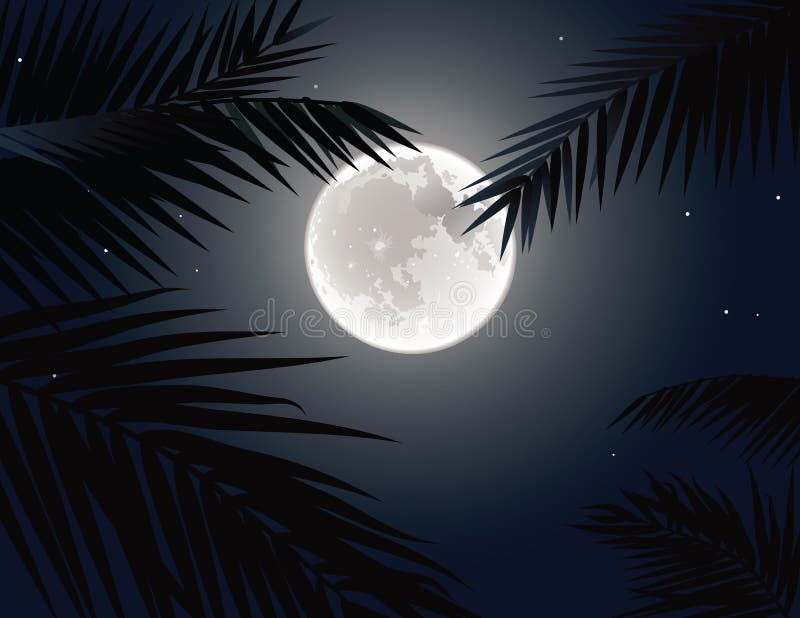 Tropical Moon Night with Airplane. Stock Illustration - Illustration of ...