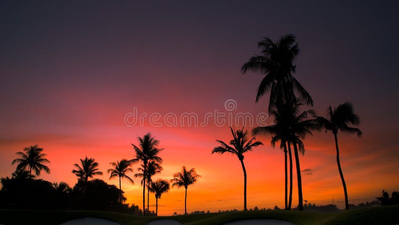 Tropical Morning stock image. Image of stratus, maroon - 4866653