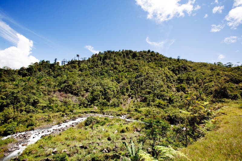 Tropical Mountain Landscape Stock Image - Image of papua, lush: 7813119