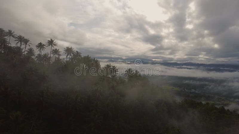 Tropical Mountain Landscape and Valley at Dawn Covered with Clouds and ...