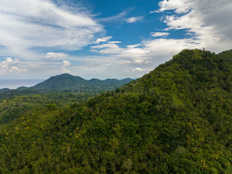 Tropical Mountain in Tropical Island in the Philippines. Stock Image ...
