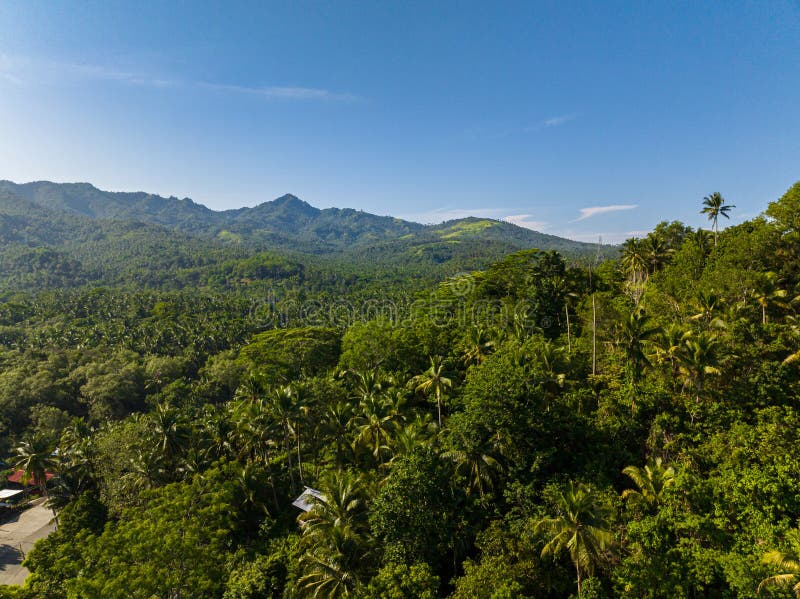 Tropical Mountain in Tropical Island in the Philippines. Stock Photo ...