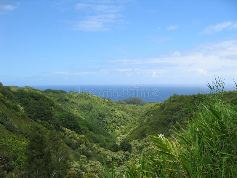 Tropical Mountains stock photo. Image of ravine, clouds - 259038