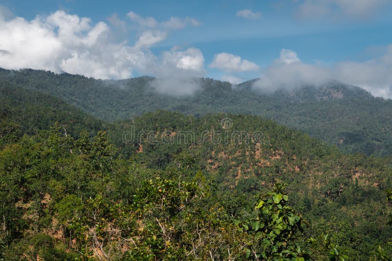 Tropical Mountains, Rainforest Landscape from East Asia Stock Photo ...