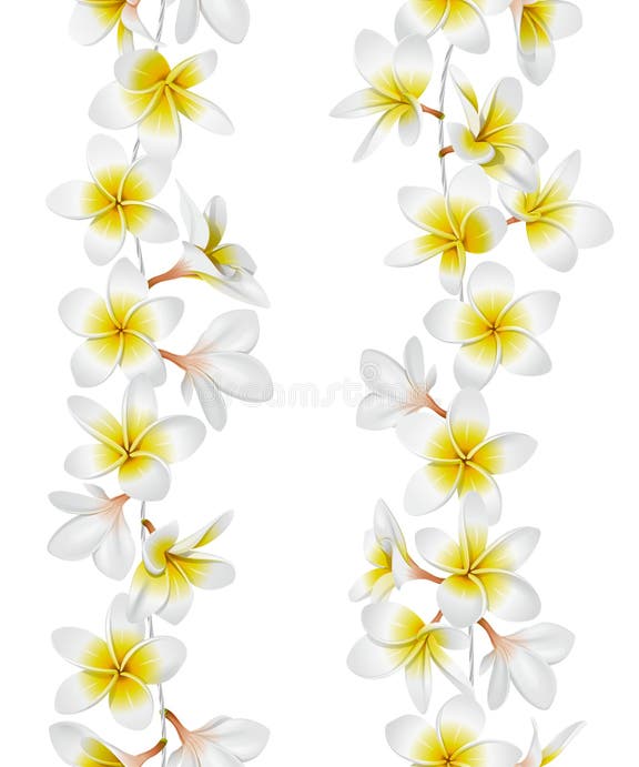 Hawaiian Lei Border Stock Illustrations – 114 Hawaiian Lei Border Stock ...