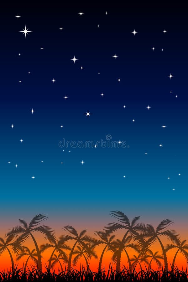 Tropical Night stock vector. Illustration of south, palm - 13408864