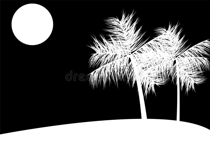 Tropical night stock vector. Illustration of tree, vector - 5117843