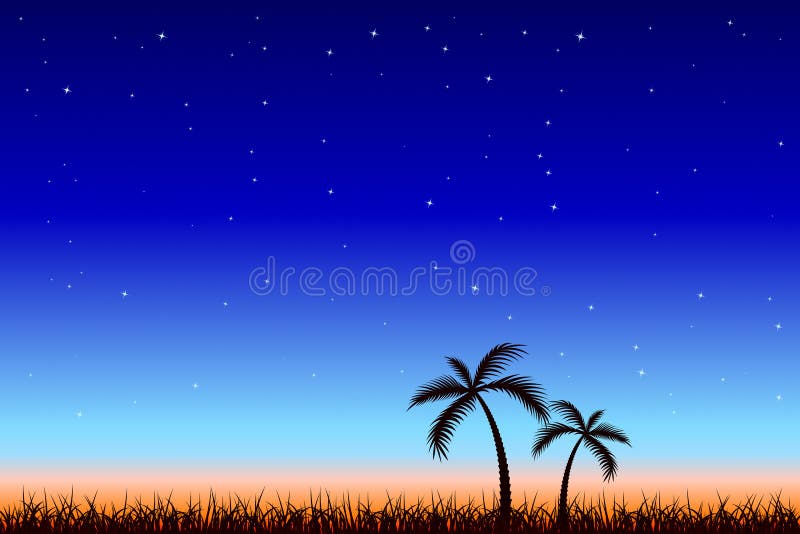 Tropical Night Picture. Image: 7848232