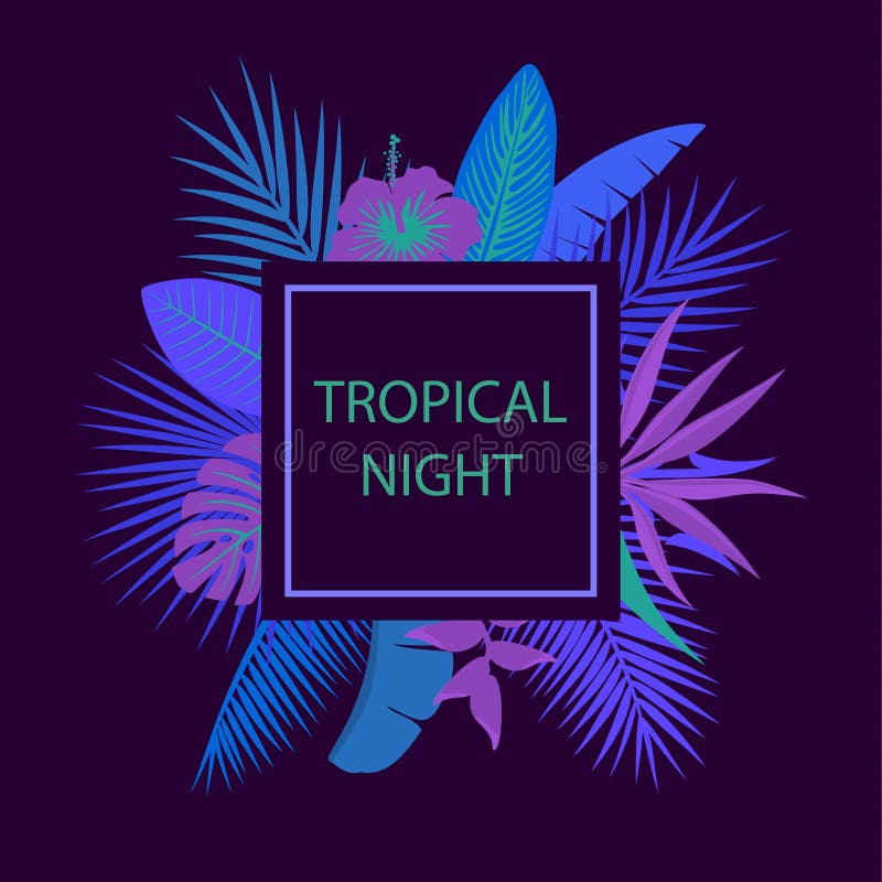 Tropical Night Seamless Pattern Black Background Stock Vector ...