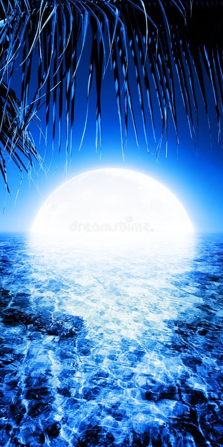 Tropical night stock photo. Image of ripple, destinations - 31014646