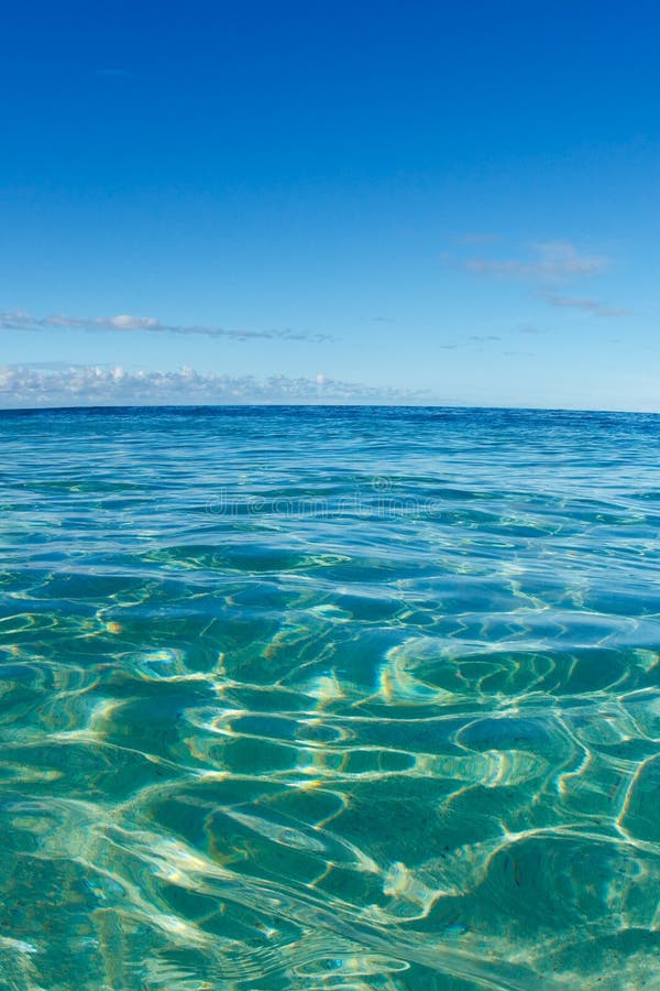 Tropical Water Wallpaper