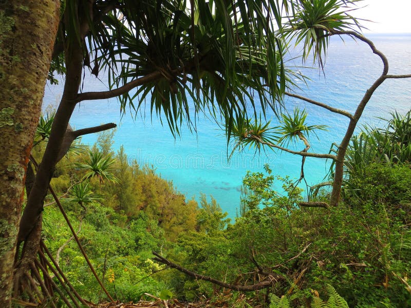 Tropical Ocean through Lush Jungle Stock Photo - Image of kauai ...