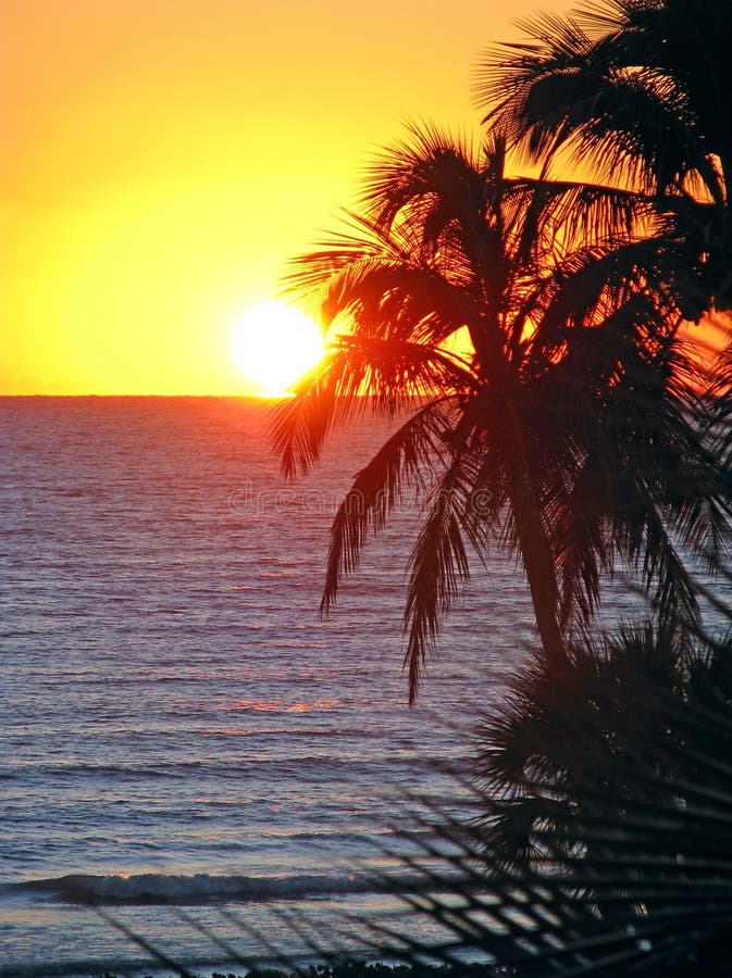 Tropical ocean sunset stock photo. Image of oceanfront - 5348136