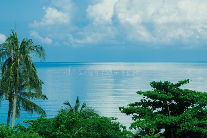 Tropical Ocean View with Palm Tree Stock Image - Image of summer ...