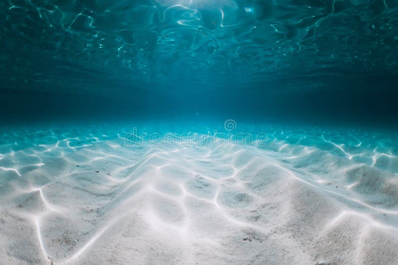 Tropical Ocean with White Sandy Sea Bottom Underwater. Sea Texture ...