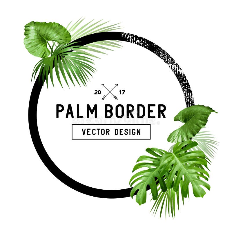 Tropical Palm Leaf Border Stock Illustrations – 21,380 Tropical Palm ...