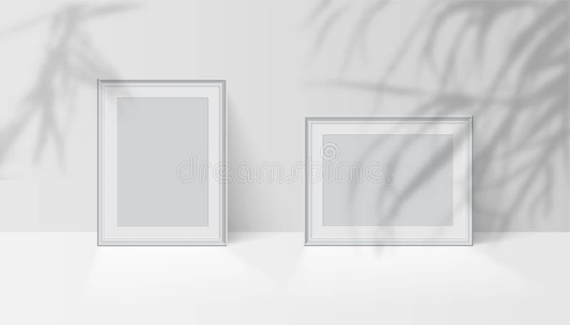 Tropical Palm Leaf Shadow Falls on Blank White Picture Frames. Trendy ...