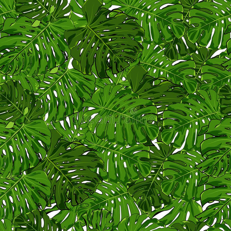 Tropical Palm Leaves for Design Elements. Stock Illustration ...