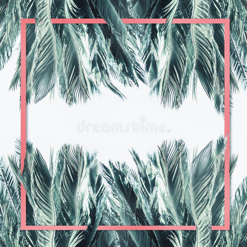 Tropical Palm Leaves Frame at White Background. Layout Stock Photo ...